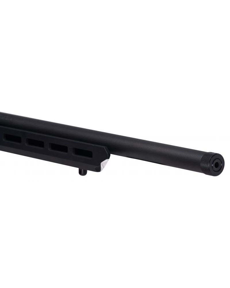 SAVAGE B22 PRECISION 22lr